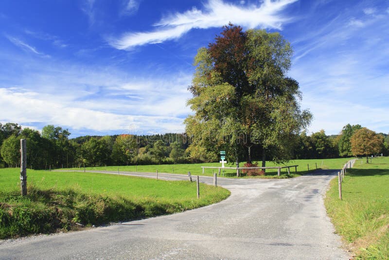Road in a meadow stock image. Image of forest, bush, outdoors - 16356143