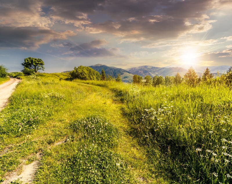 Road through the Meadow on Hillside at Sunset Stock Photo - Image of ...