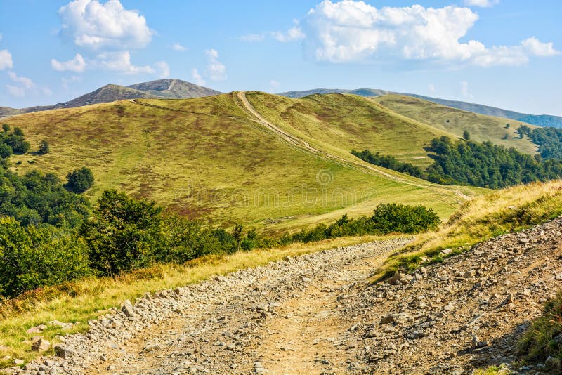 Road through a Meadow on Hillside Stock Image - Image of hillside, calm ...