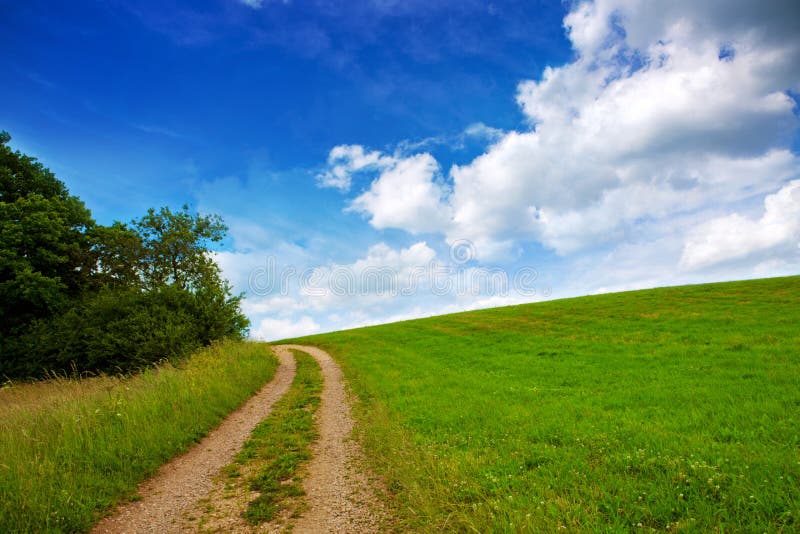 Road through the meadow. stock photo. Image of summer - 88448274