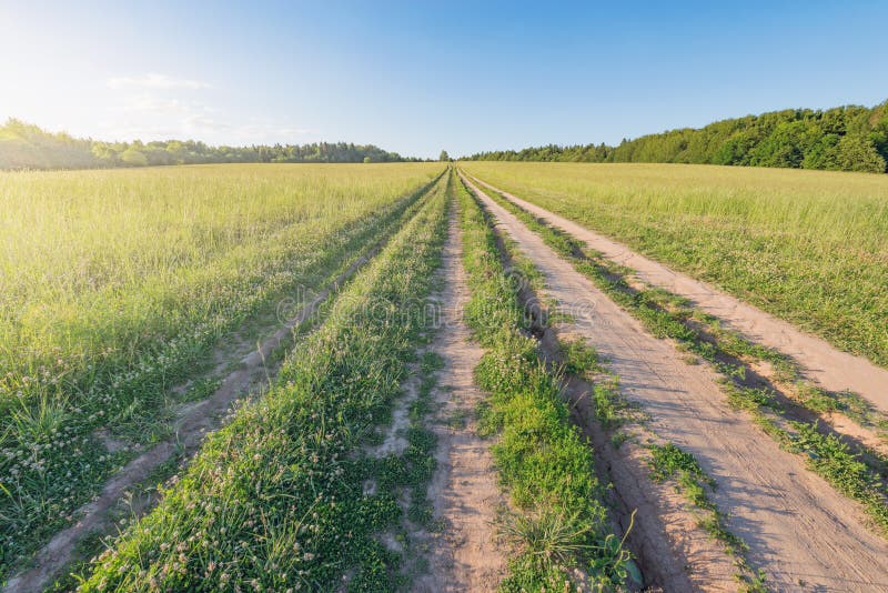 Road on the Meadow at Summer Sunset Stock Photo - Image of countryside ...