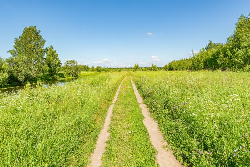 Road on the meadow. stock photo. Image of flora, field - 50961426
