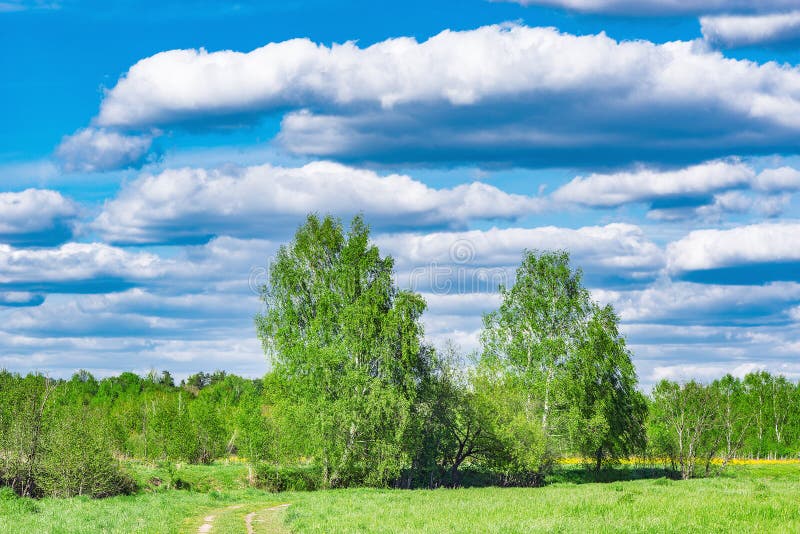 Road on the meadow. stock image. Image of landscape, outdoor - 92982793