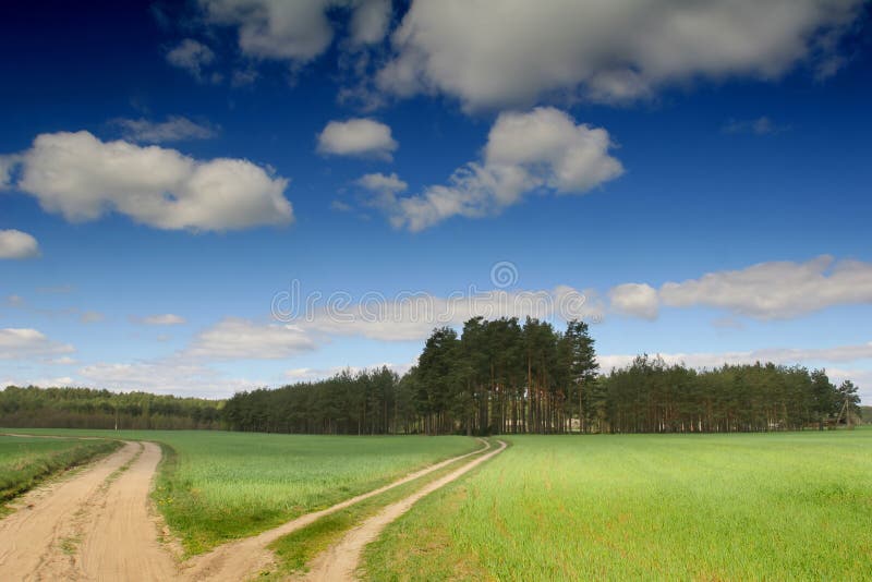 Road between meadows stock image. Image of spring, horizontal - 4698853