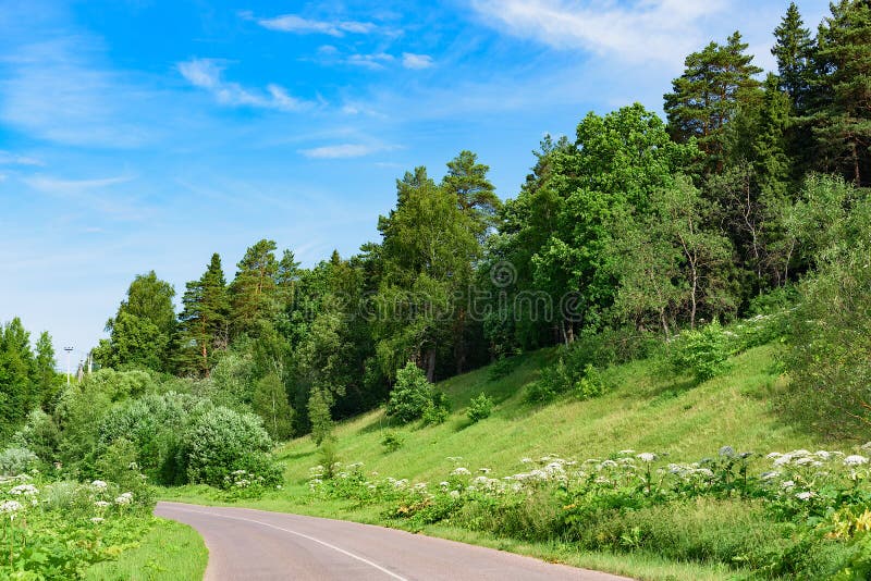 Road and the meadows stock photo. Image of colorful - 130777918