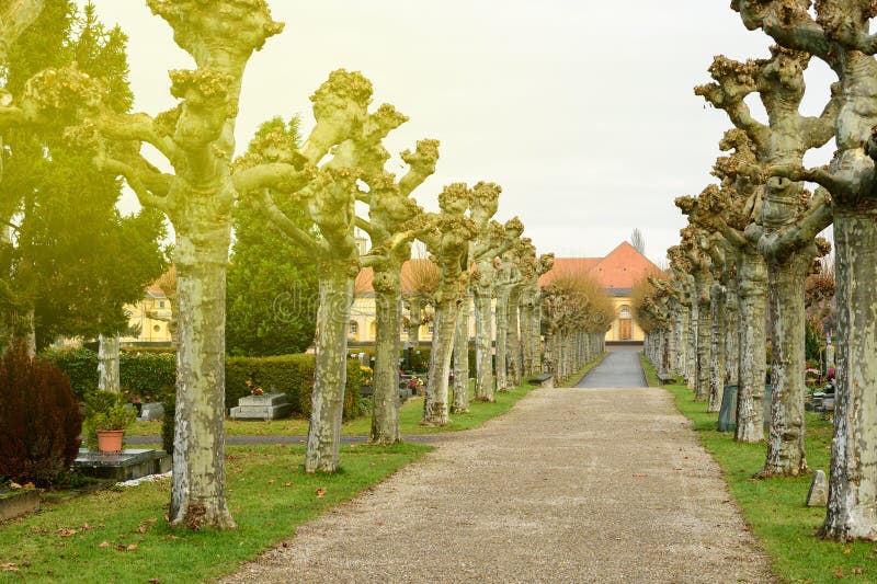 Road in the Middle of a Cemetery Stock Photo - Image of honor, mystery ...