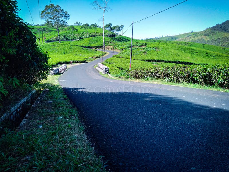 The Road in the Middle of Ciwidey Tea Garden Stock Photo - Image of ...