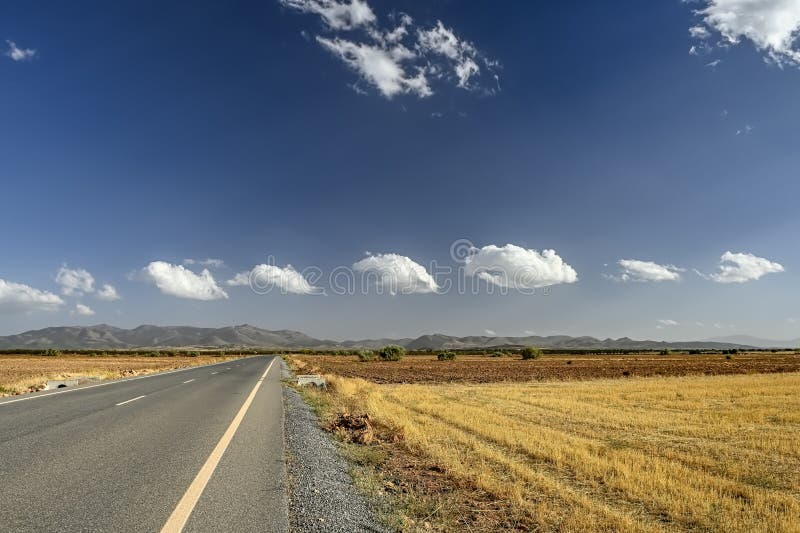 Road through the Middle of a Field of Yellow Cereals. Stock Image ...