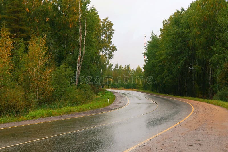 Road in the Middle of the Forest Stock Image - Image of highway, road ...