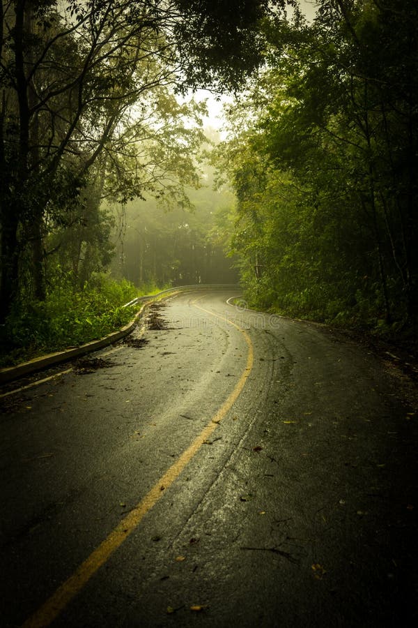 Road with mist stock photo. Image of october, nature - 58637874