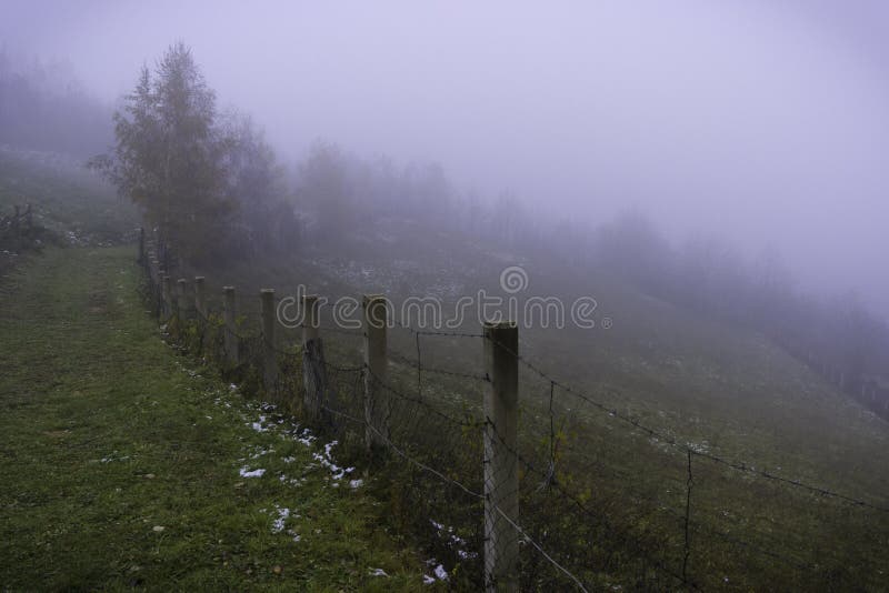 Road in mist stock photo. Image of trees, meadow, highland - 88938738