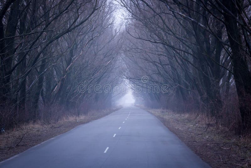 Road in to the mist stock photo. Image of seasonal, uphill - 476320
