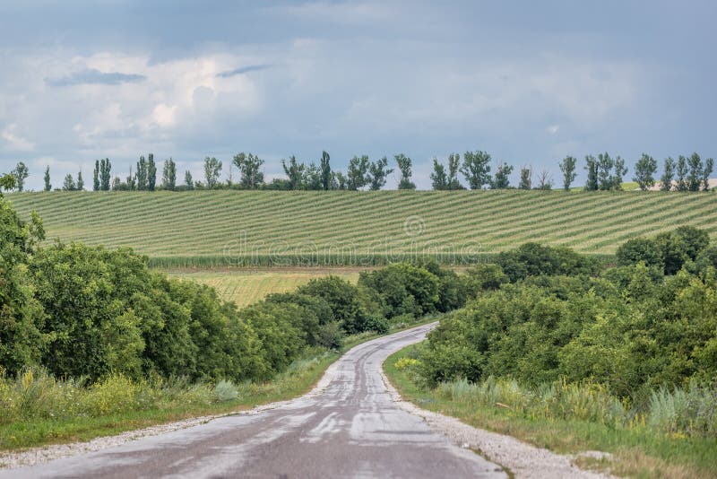 Road in Moldova stock image. Image of moldova, nature - 176231983