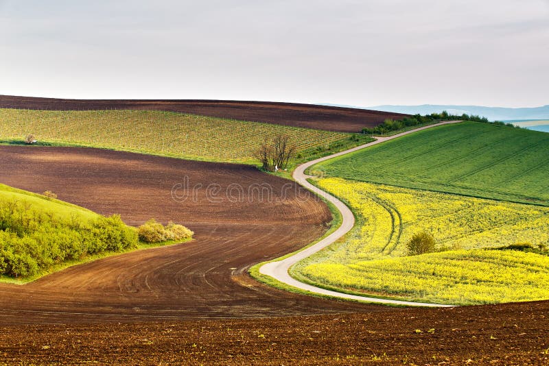 Road in Moravia Hills in April. Spring Fields Stock Photo - Image of ...