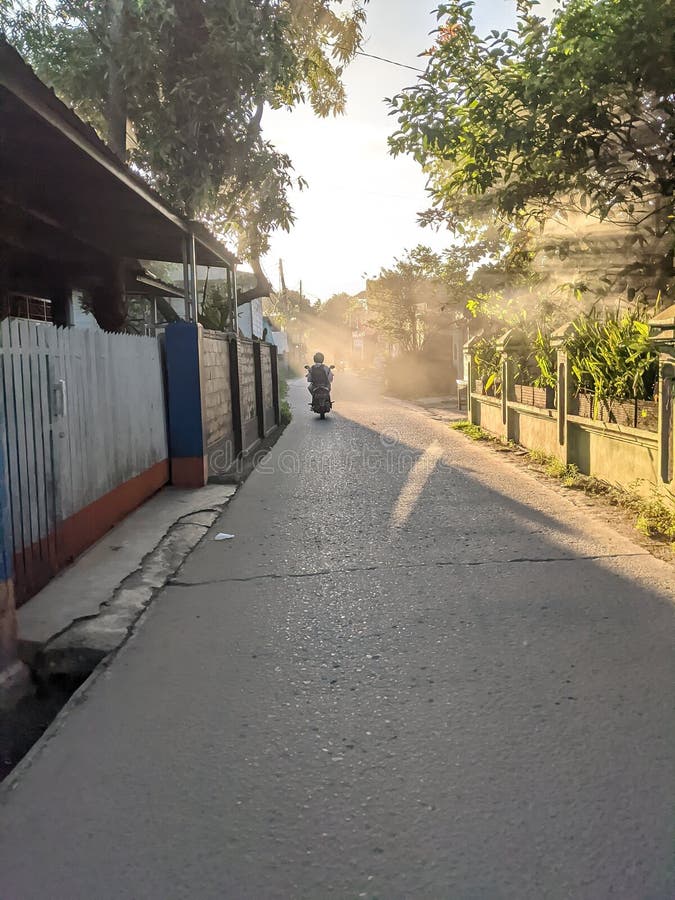 Road Morning fog ray stock image. Image of morning, green - 281552339