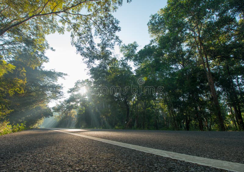 The Road on Morning and Sunrise Stock Photo - Image of grass, natural ...