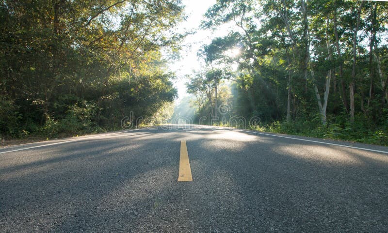 The Road on Morning and Sunrise Stock Photo - Image of fields, linda ...