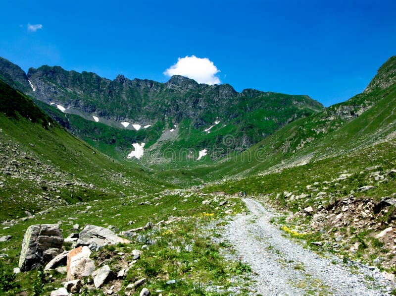 Road in mountain stock image. Image of fagaras, transilvanya - 5764839