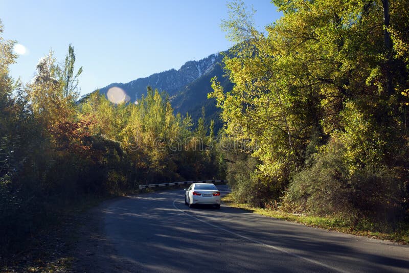 Autumn in the Mountain Forest. Stock Photo - Image of landscape, grass ...