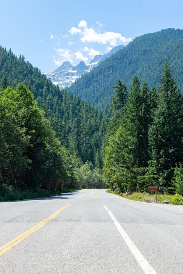 Road in the Mountain Leading through a Forest with a Navigation Sign on ...