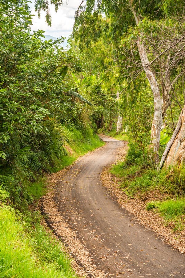 Small road on mountain stock image. Image of tourism - 173279401
