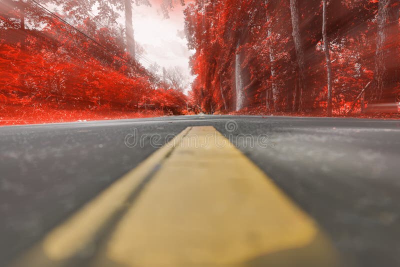 2,472 Moving Forward Road Photos - Free & Royalty-Free Stock Photos ...