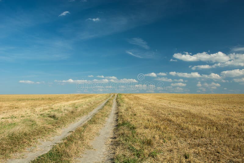 Road through a mowed field stock photo. Image of harvested - 132724224