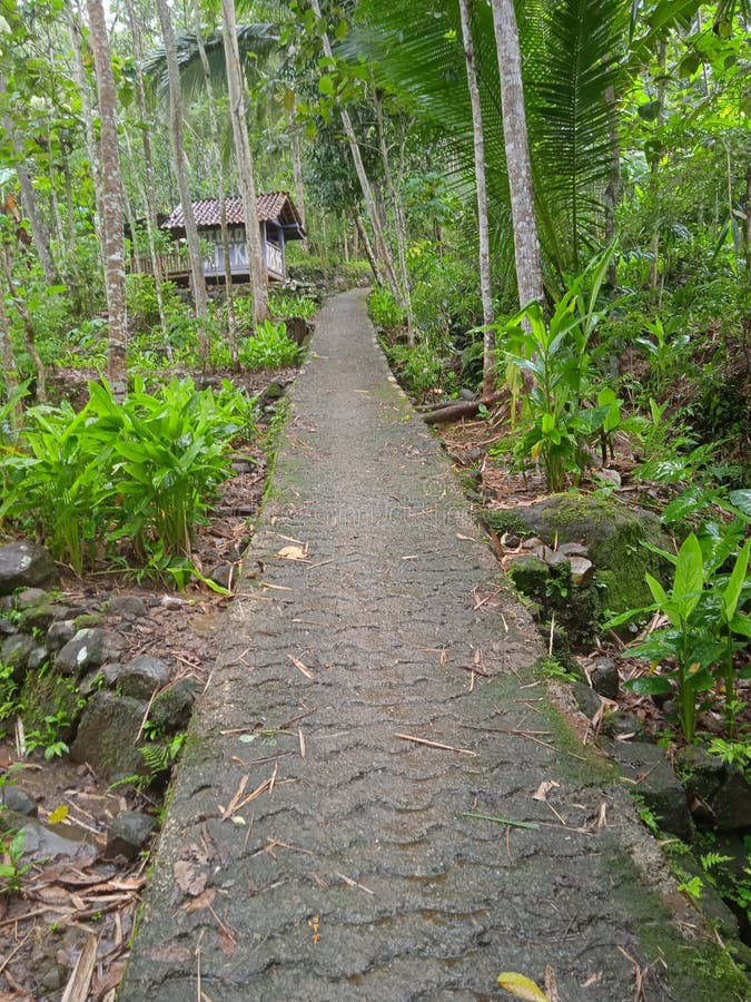 The Road in a Narrow Village Can only Be Passed by Motorbikes Stock ...