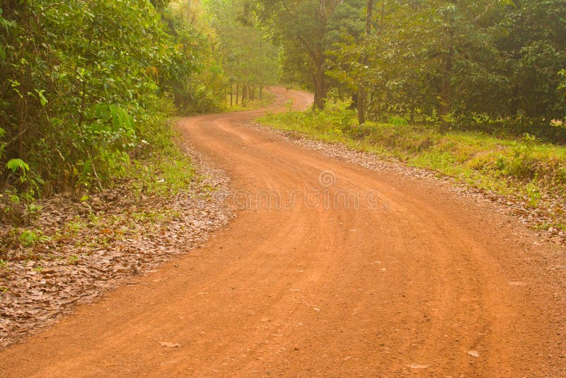 Road natural. stock photo. Image of grass, path, flowers - 29161768