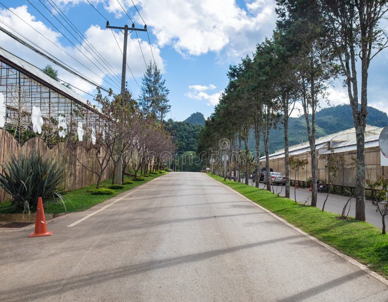 Road in natural path stock image. Image of chiang, rural - 80772325