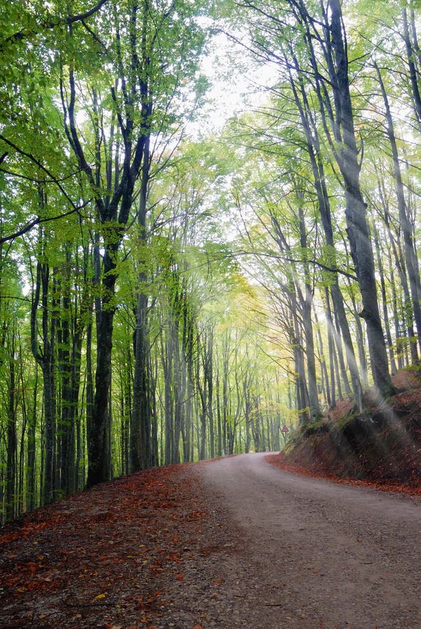 Road Natural Beauty Photography Trend Stock Photo - Image of beauty ...