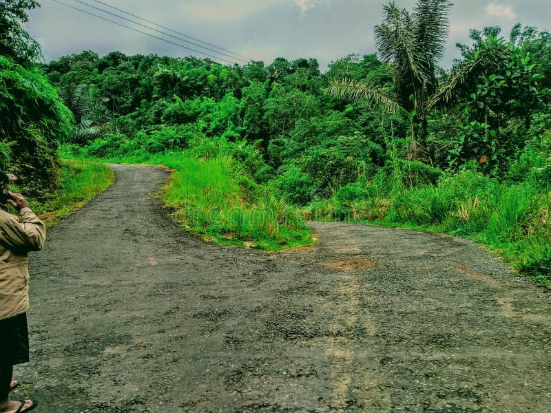 Road Nature Green Peace Hometown Jungle Road Cool Fresh Stock Photo ...