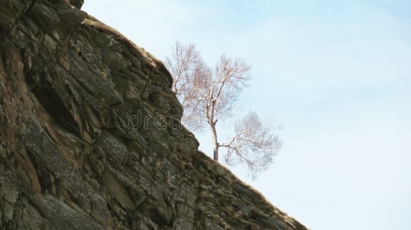 Cool environment stock photo. Image of environment, cool - 116342722