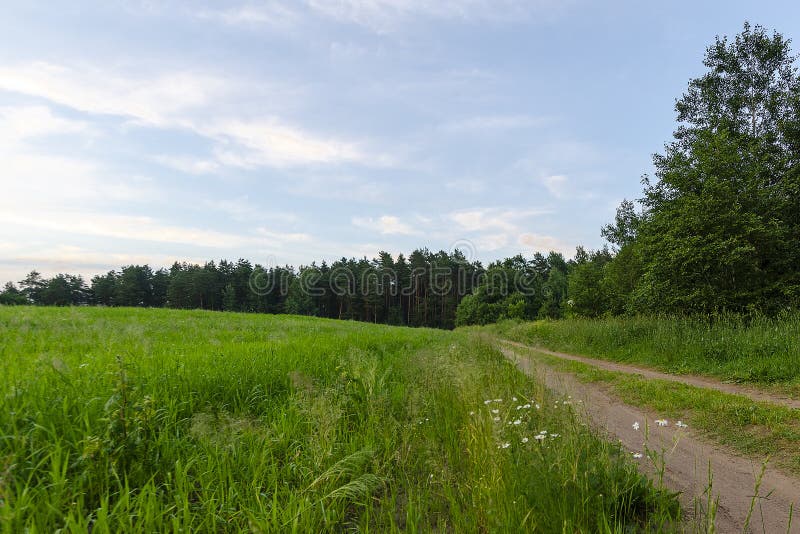 Road Near Field and Forest at Sunset Stock Photo - Image of field ...