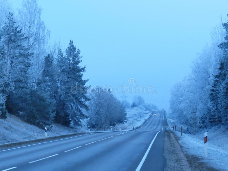 Road Near Forest, Lithuania Stock Image - Image of view, tree: 49308323