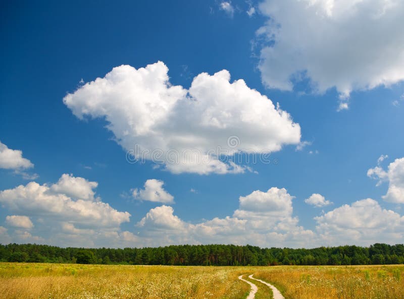 Road near forest stock image. Image of nature, plain - 34964863