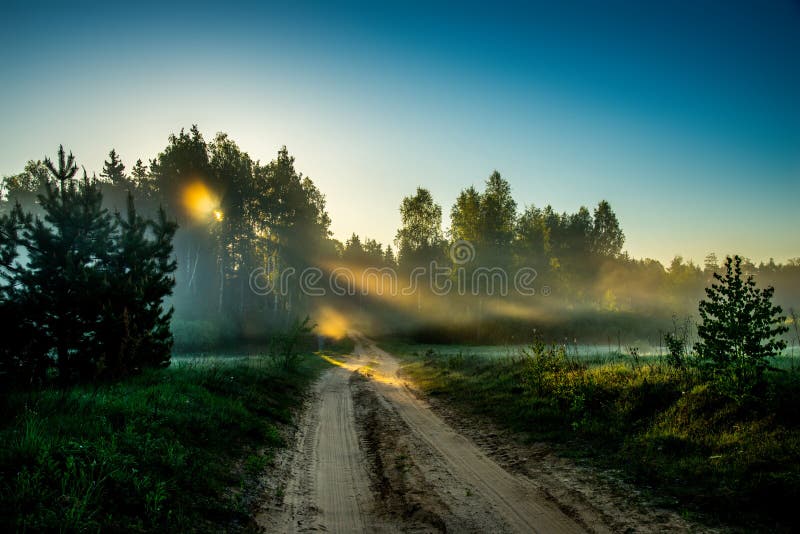 Road Near Forest at Sunrise Stock Image - Image of land, foliage: 117492227