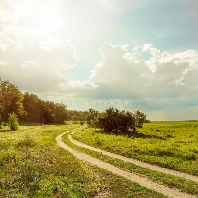 Road Near Forest Under Low Sun with Clouds Stock Image - Image of ...