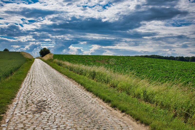 Road Next To the Large Green Fields during Daytime Stock Photo - Image ...