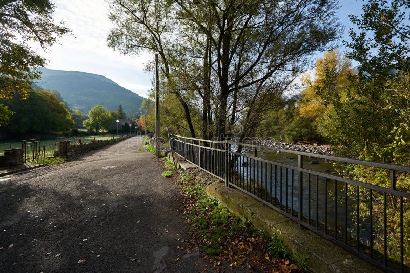 Road Next To a River Surrounded by Trees with the Mountain in the ...