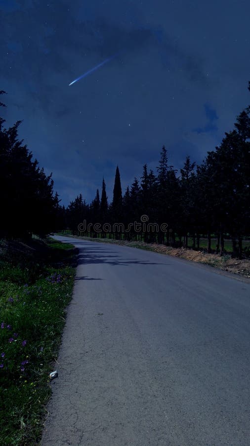 Road at night stock image. Image of stars, tree, green - 159121219