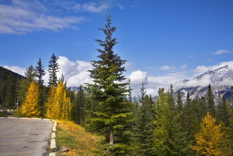 The Road. Northern Landscape Stock Image - Image of beauty, american ...