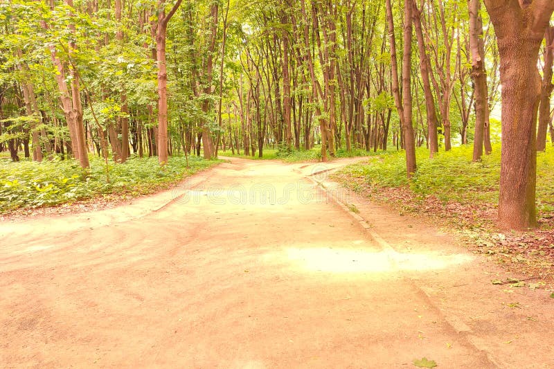 Road in the Old Park As Nice Summer Background Stock Image - Image of ...