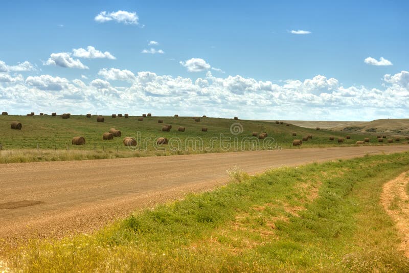 Prairie Rattler stock image. Image of field, nature, rattlers - 5377111