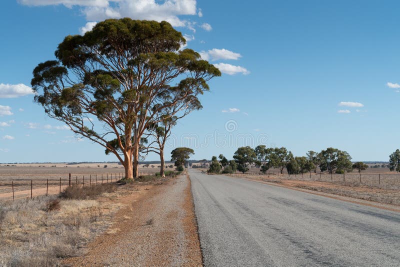 Road, Outback of Western Australia Stock Image - Image of clear, nature ...