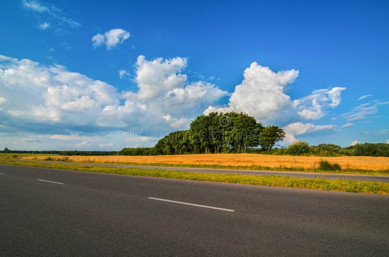 Road Panorama on Summer Day with Field and Trees Stock Photo - Image of ...