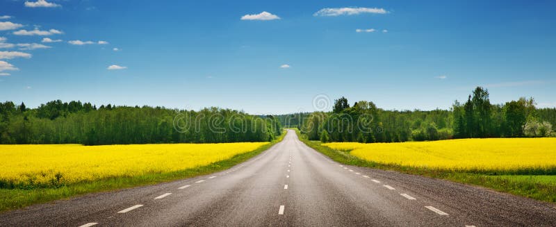 Road Panorama on Sunny Summer Day in Countryside Stock Image - Image of ...