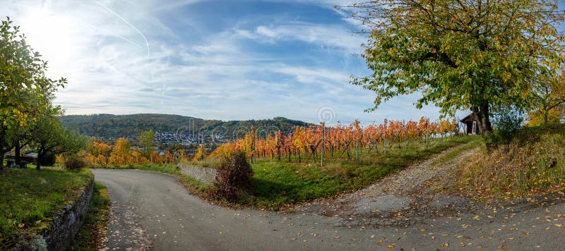 Road in Panoramic Landscape Scenery in Fall Stock Image - Image of ...