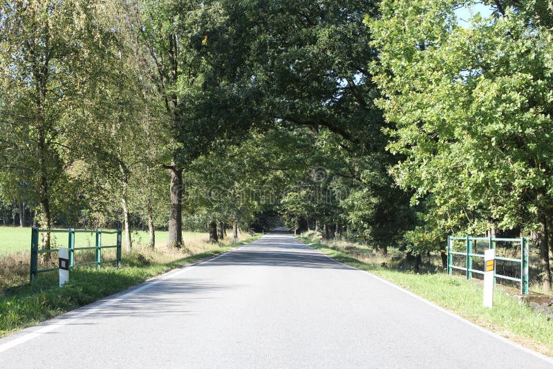 Road in the park stock image. Image of rural, travel - 146809925