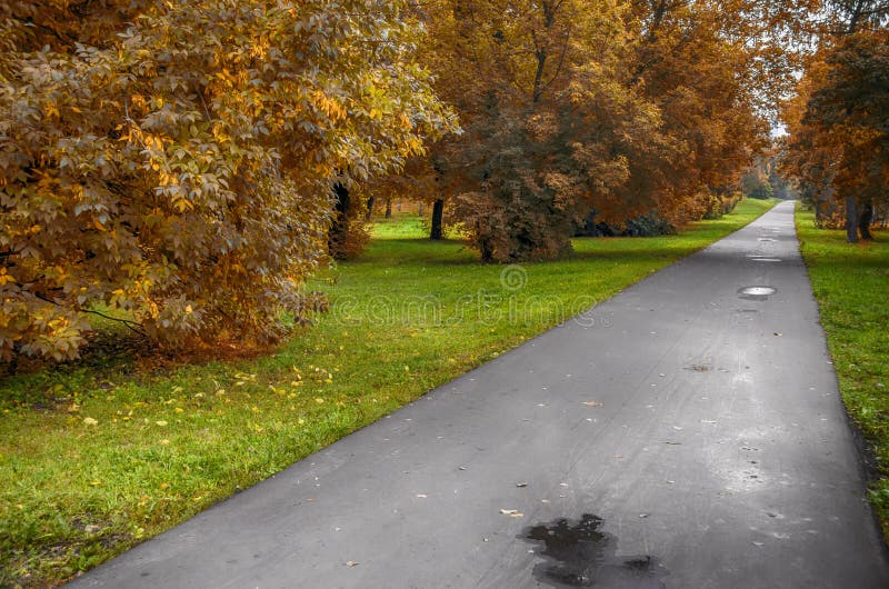 The road in the Park stock image. Image of lane, park - 59170743